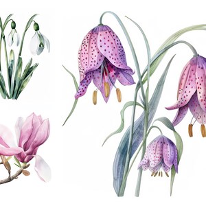 Spring Flower Clipart Bundle, Floral Clipart Set, Wedding Clipart, High ...