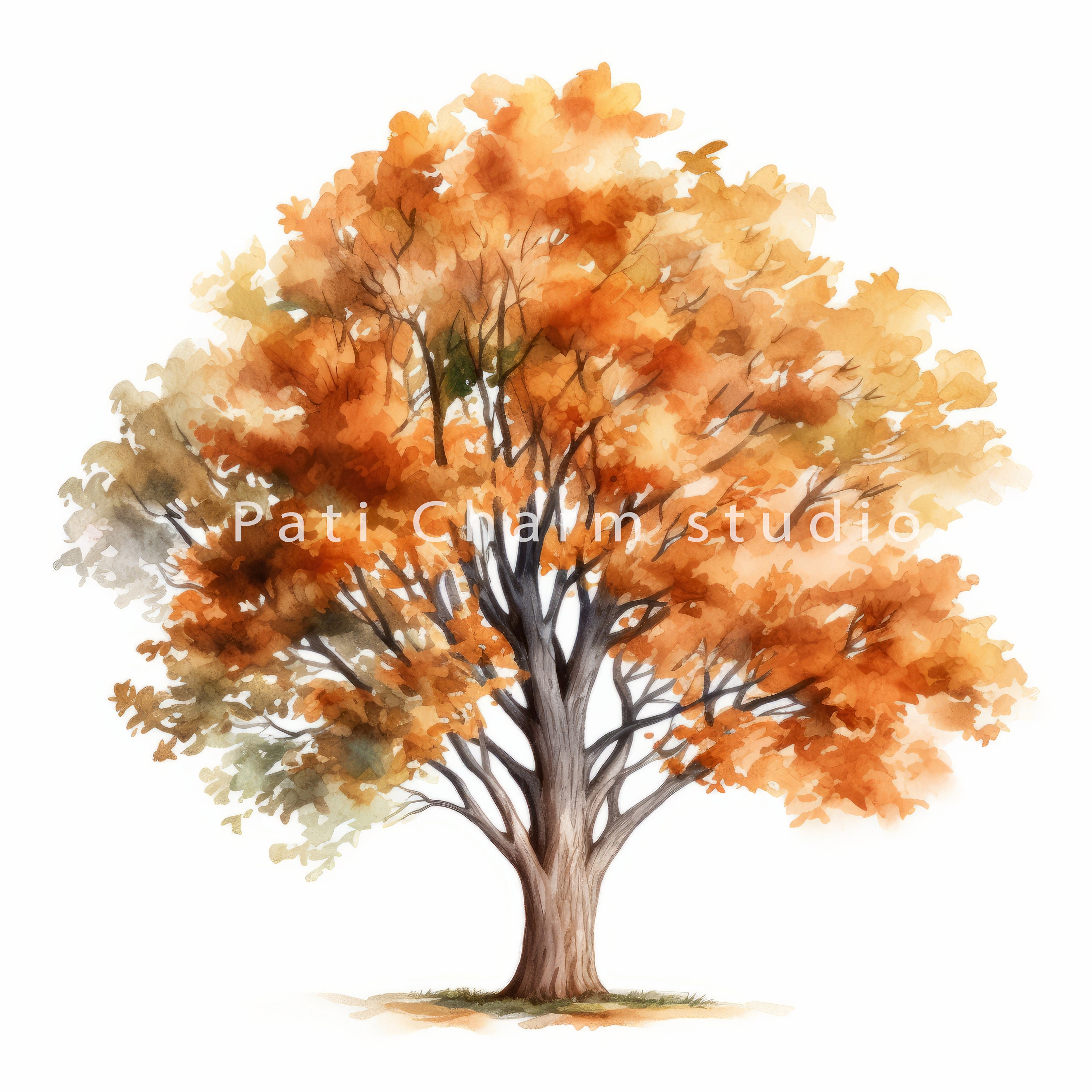 Fall Tree Clipart Autumn Decor High Resolution JPG - Etsy