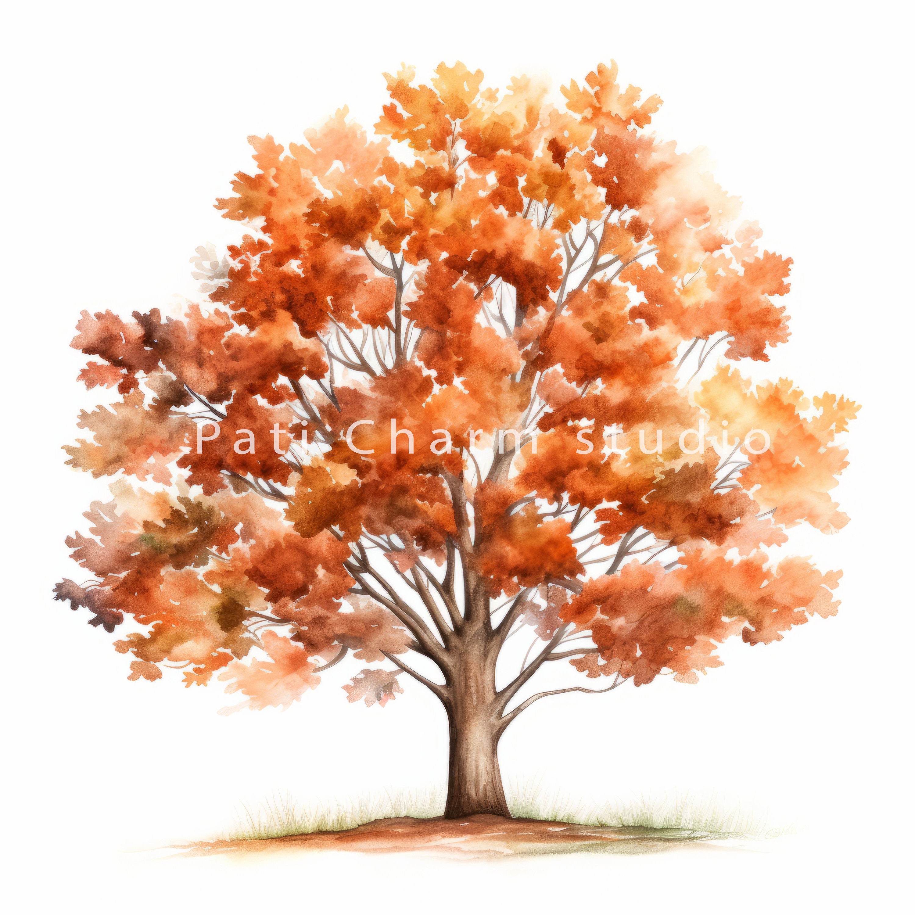Fall Tree Clipart Autumn Decor High Resolution JPG - Etsy