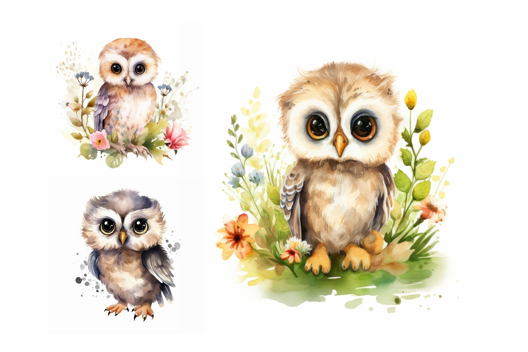 Woodland Owl Clipart Bundle, High Quality Jpgs, Nursery Owl Clipart ...