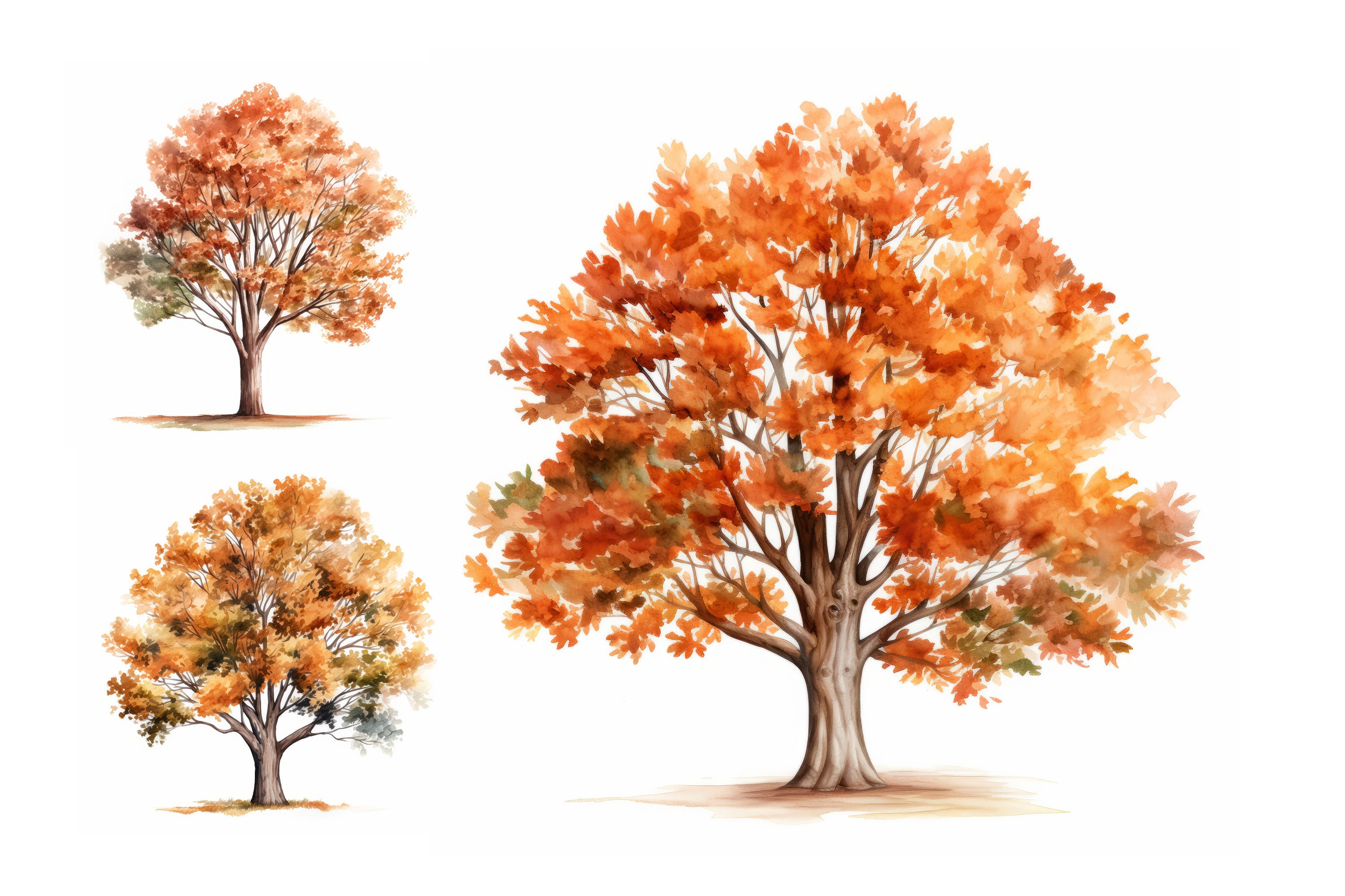 Fall Tree Clipart, Autumn Decor, High Resolution JPG, Landspace Clipart ...
