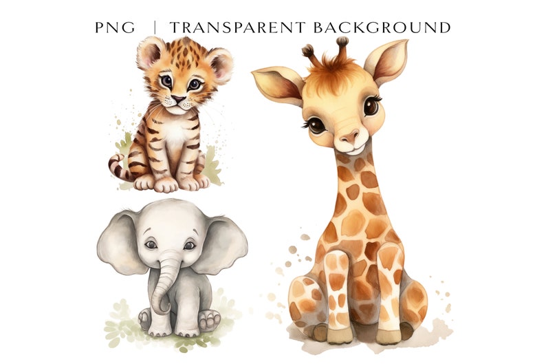 Jungle Baby Animals Clipart, High Quality Png, Watercolor Safari ...