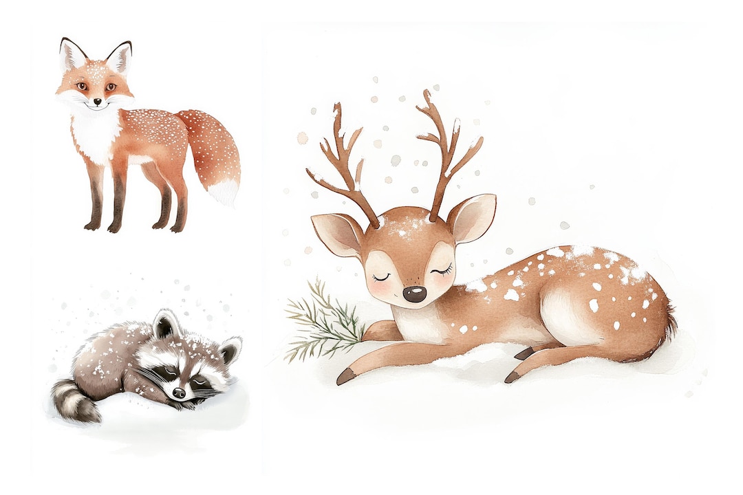 Winter Forest Animals Clipart, High Quality Jpgs, Watercolor Woodland ...