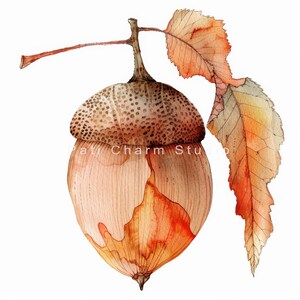 Watercolor Autumn Clipart Bundle, Fall Leaves Clipart, Acorn Clipart ...