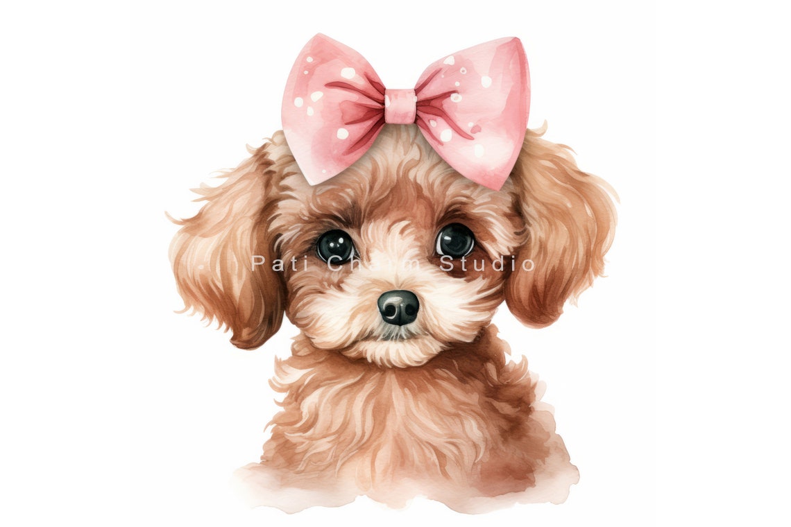 Cute Poodle Clipart Pngs, Digital Download, Cute Pets Clipart ...