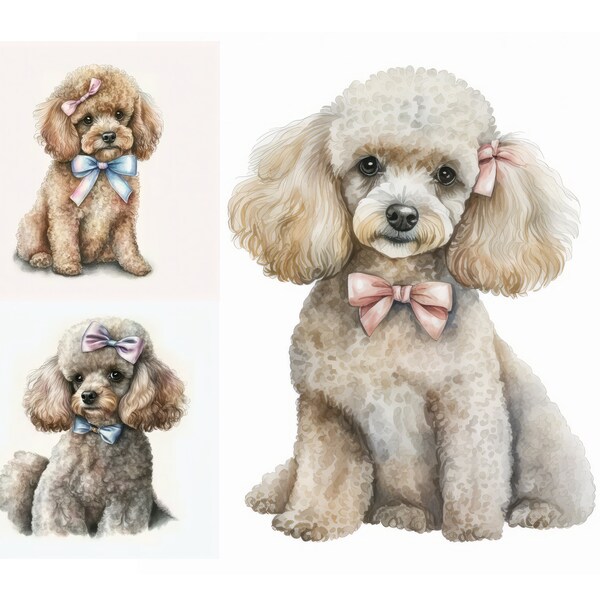 Poodle Clipart - Etsy
