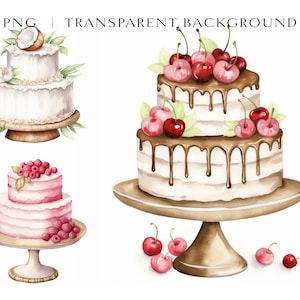 Birthday Cake Clipart Bundle PNG, Digital Download, Happy Birthday ...