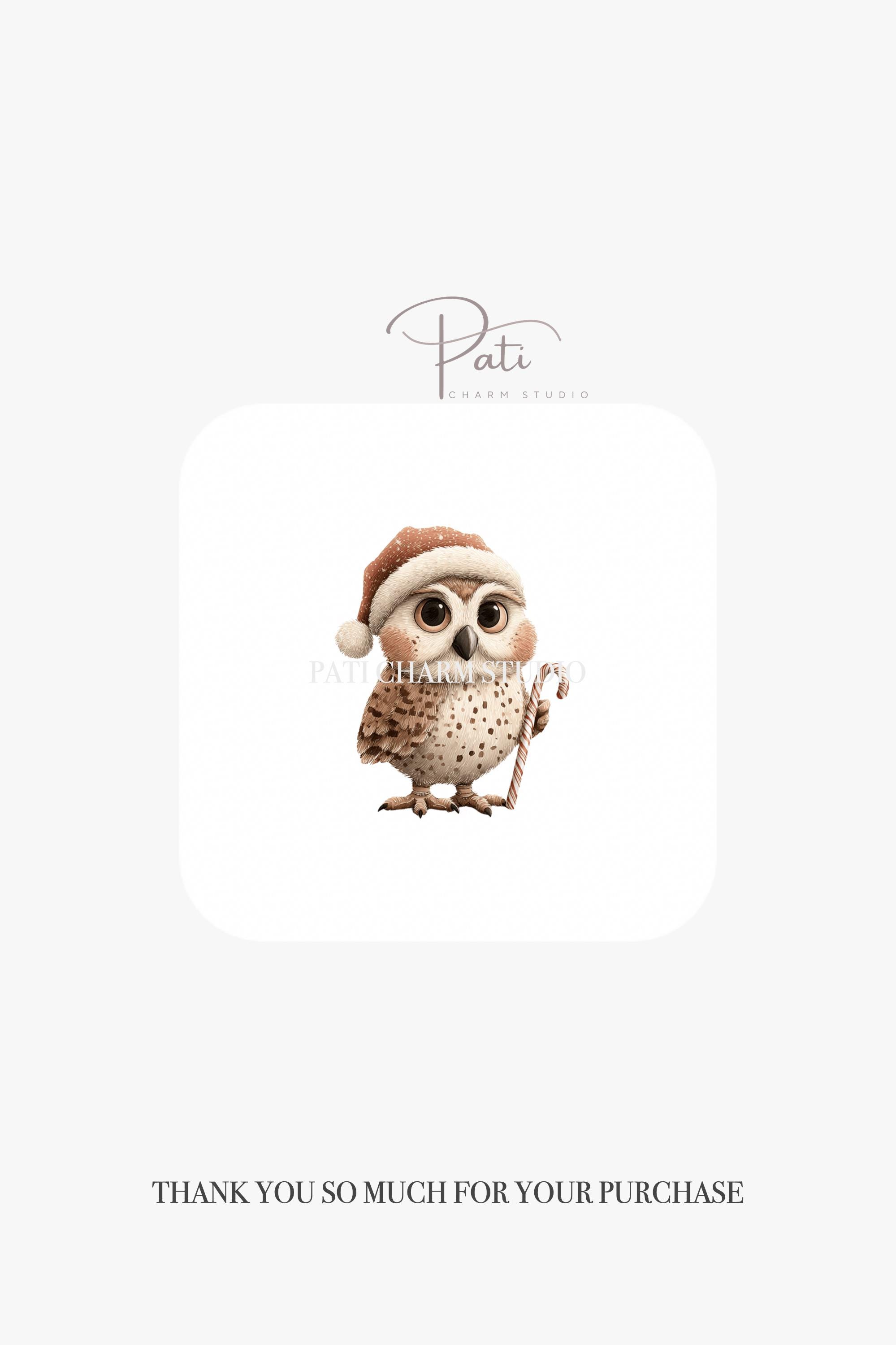 Christmas Owl Clipart Set, Cute Winter Owl PNG Bundle, Holiday Owl ...