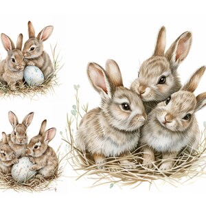 Easter Bunny Family Clipart Bundle, Digital Clipart, Watercolor Easter ...