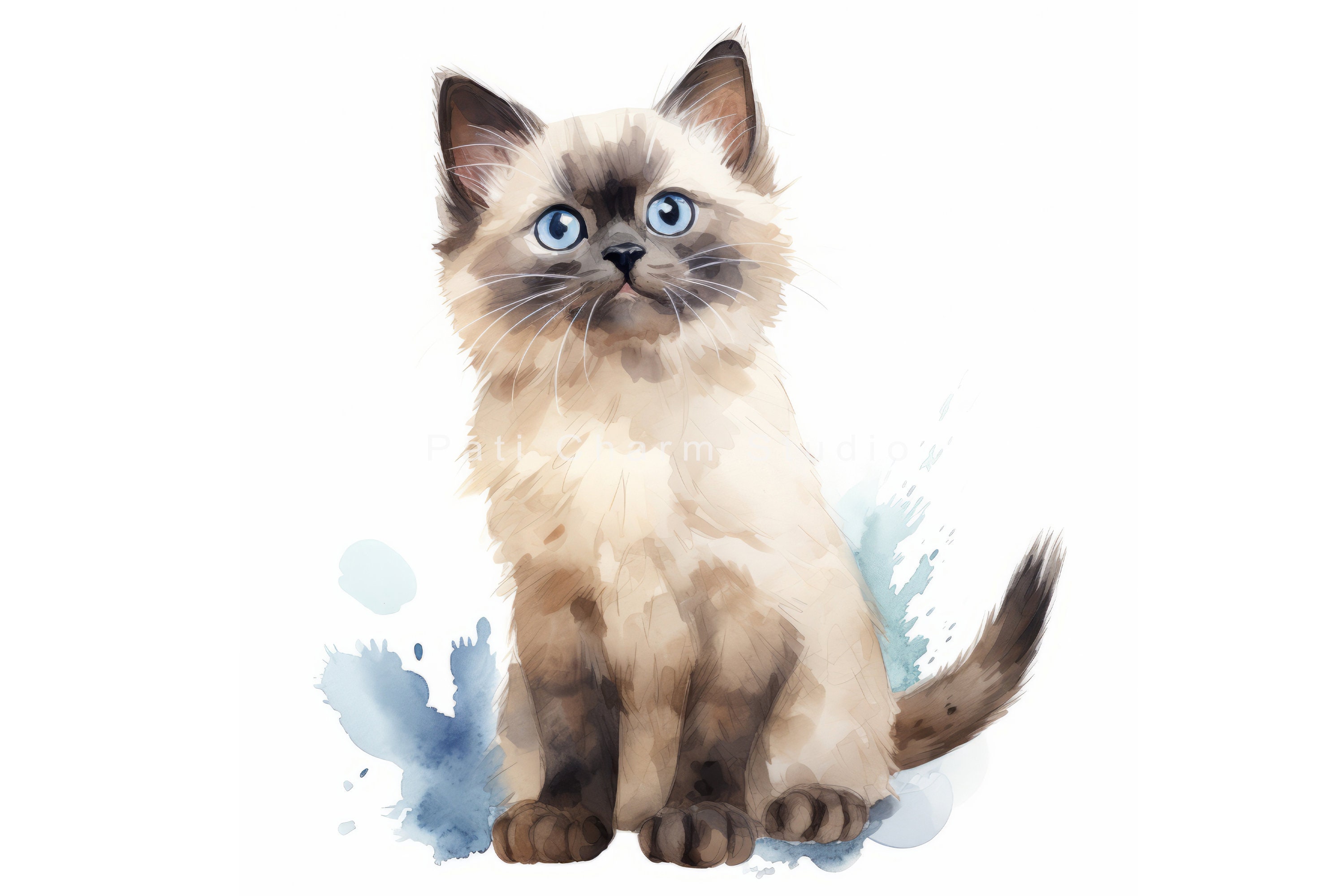 Birman Cat Clipart Bundle High Resolution PNG Kitten Wall - Etsy