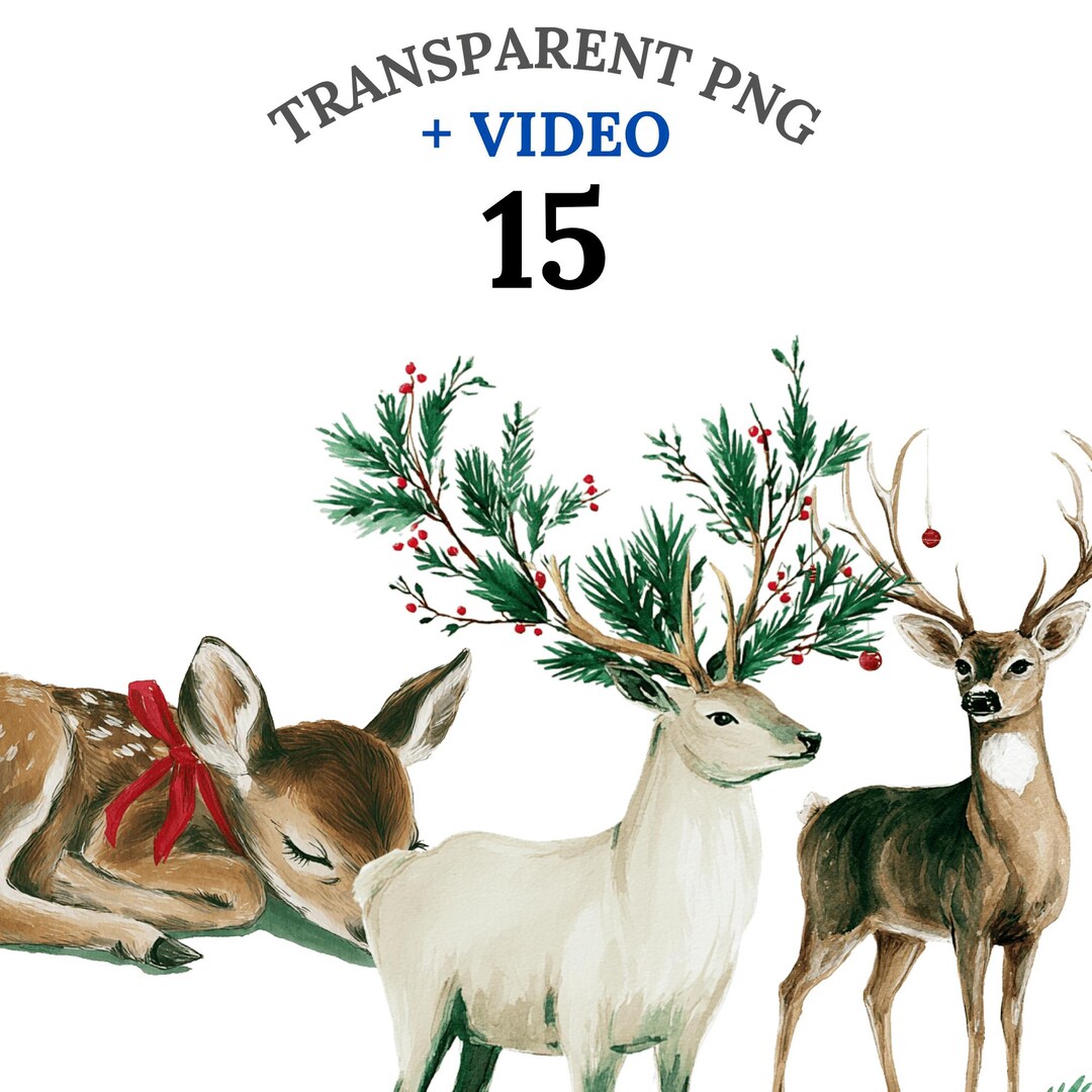 Christmas Deer Clipart Set, Cute Reindeer PNG, Winter Holiday Fawn Clip ...