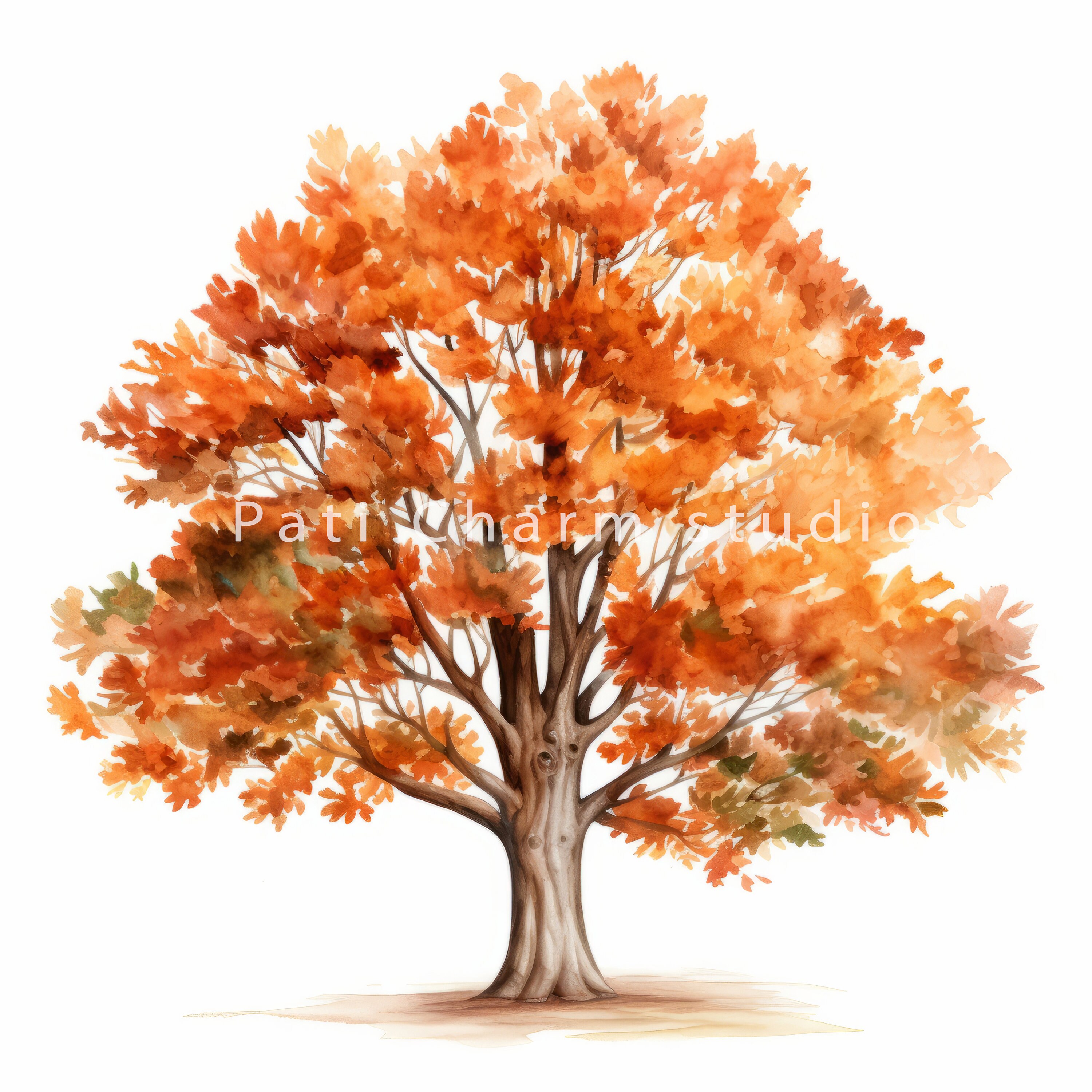 Fall Tree Clipart Autumn Decor High Resolution JPG - Etsy