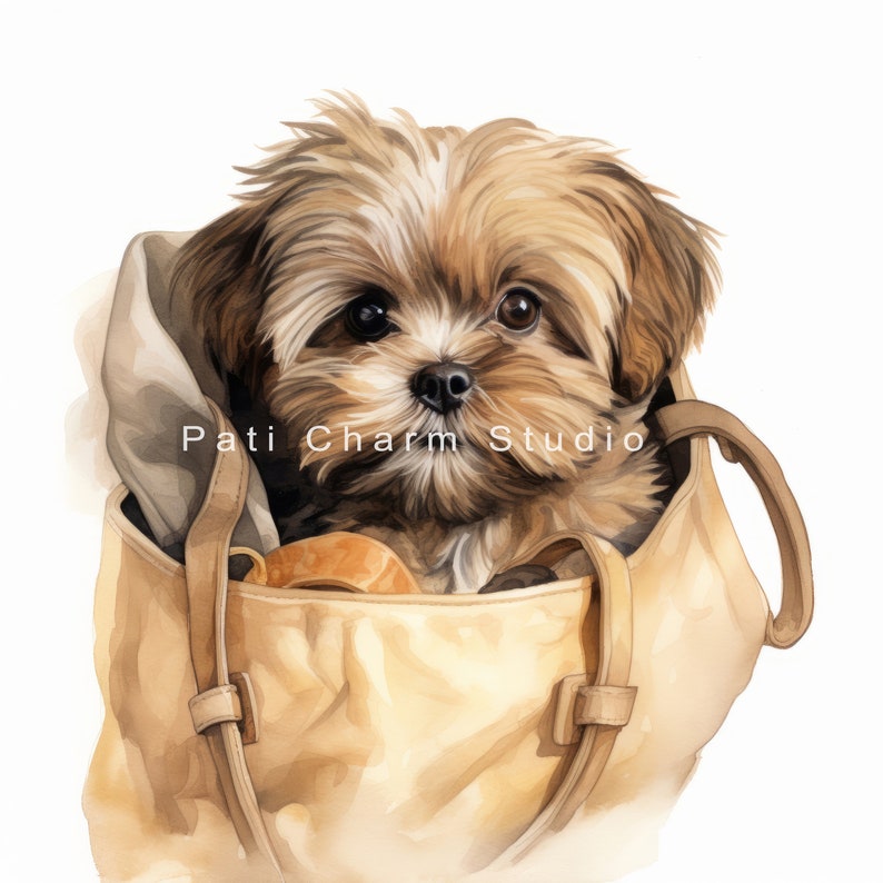 Yorkshire Terrier Clipart Bundle, JPG High Quality, Yorkshire Clipart ...