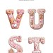 26 Pink Christmas Alphabet PNG, Gingerbread Candy Font, Nutcracker ...