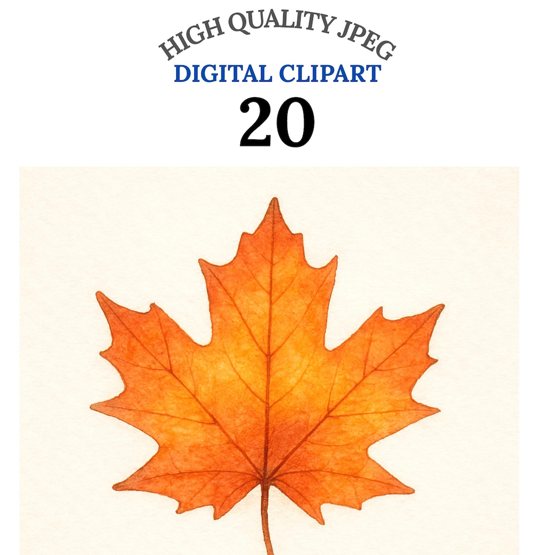 Autumn Leaf Clipart Bundle, Fall Leaves Clip Art Pack, Foliage ...