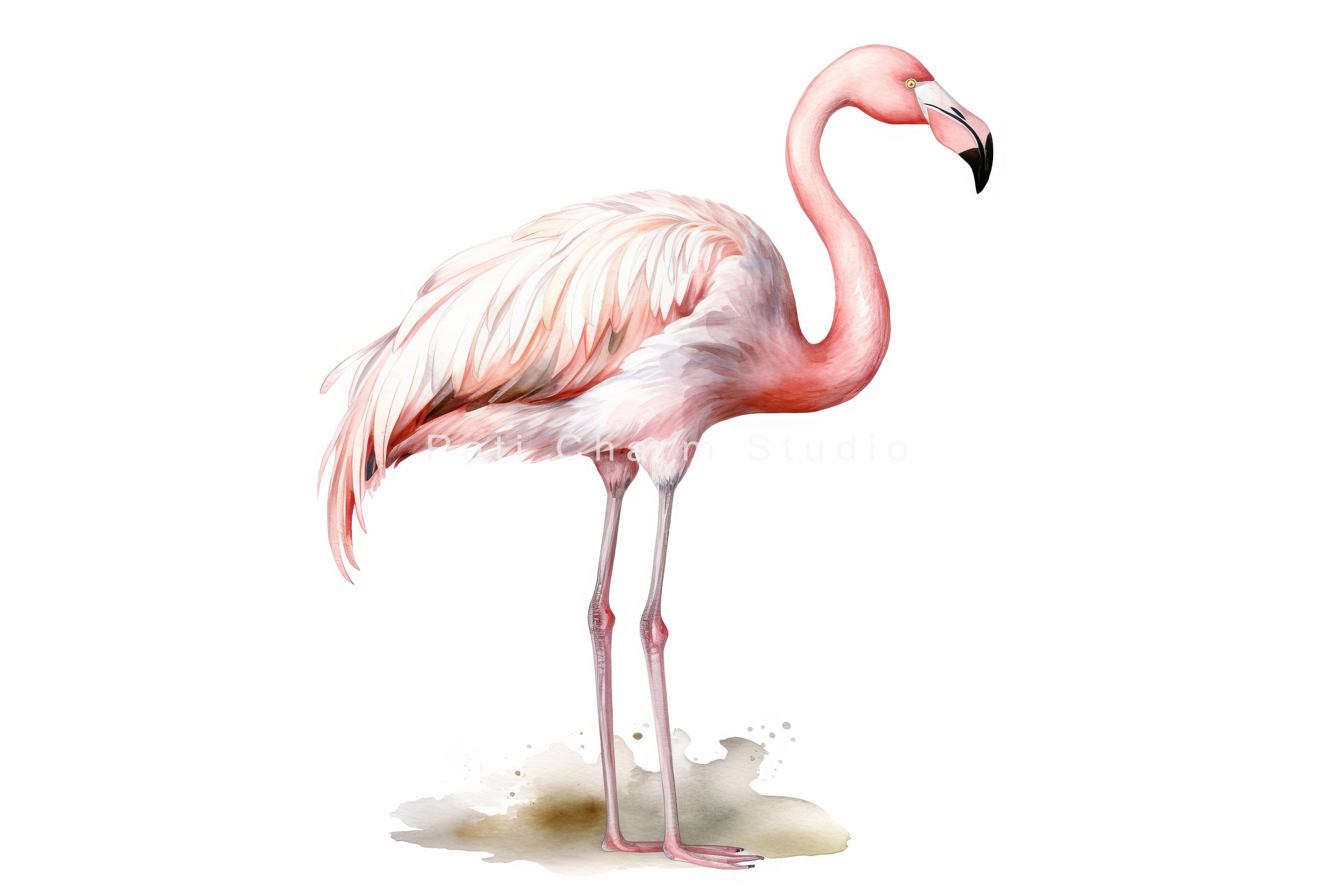 Watercolor Flamingo Clipart Bundle, Digital Download, Flamingo Clipart ...