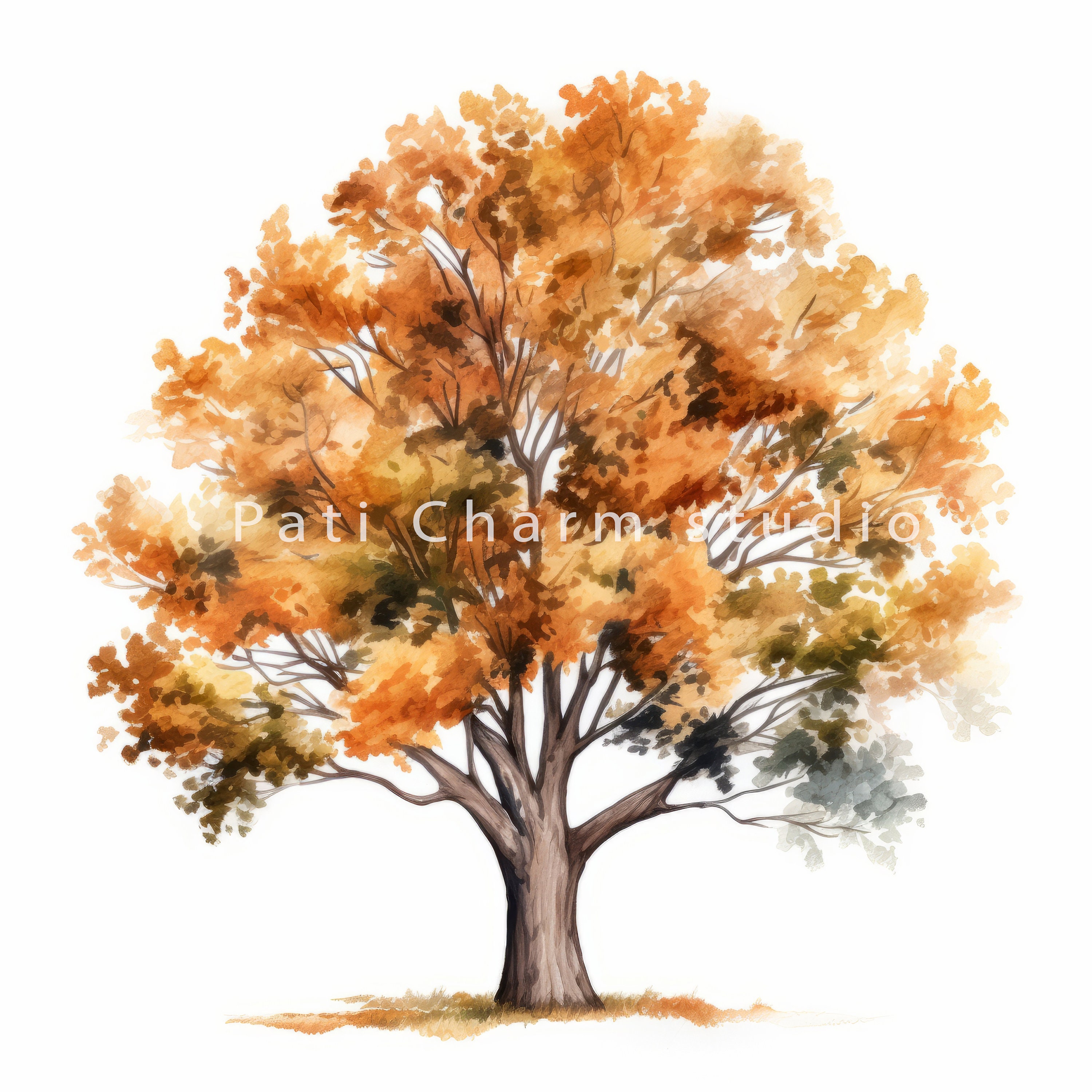 Fall Tree Clipart Autumn Decor High Resolution JPG - Etsy