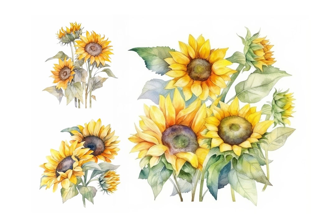 Watercolor Sunflower Clipart Bundle, Flower Clipart, Wedding Invitation ...