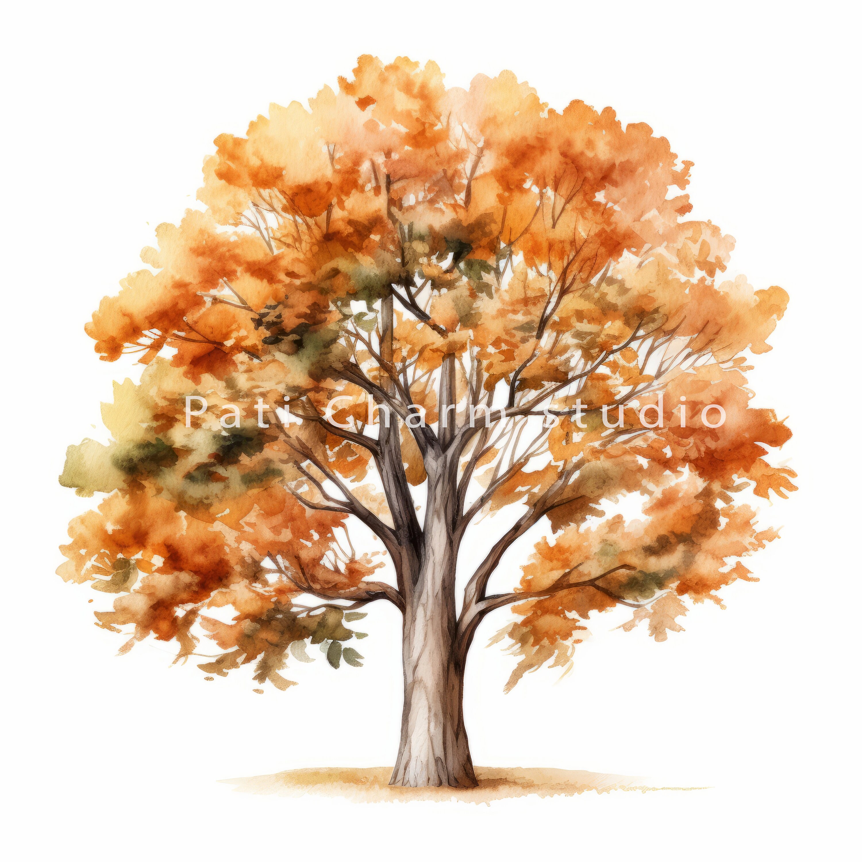 Fall Tree Clipart Autumn Decor High Resolution JPG - Etsy