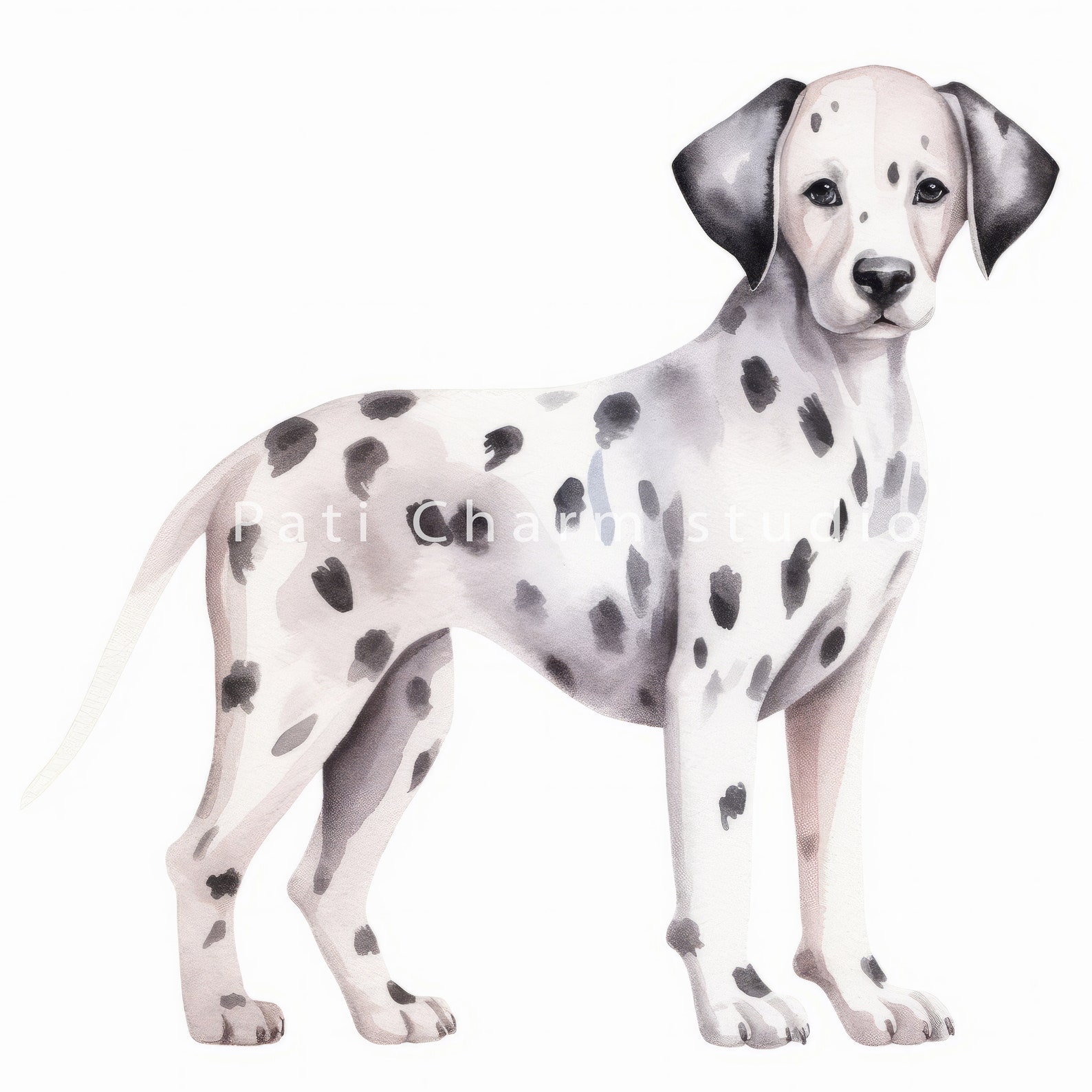 Dalmatian Dog Clipart High Quality Jpgs Dog Breed Animal - Etsy