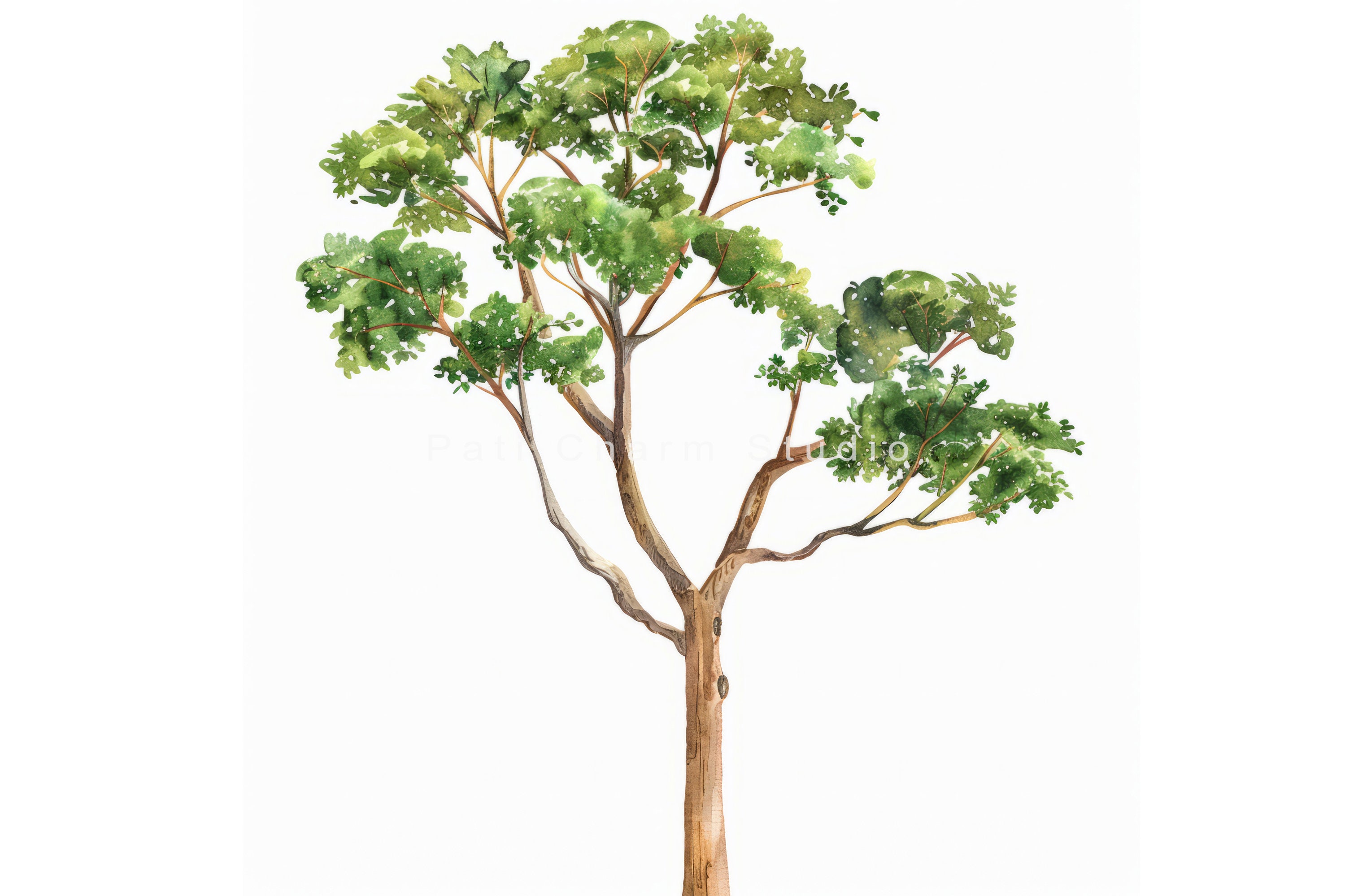 Watercolor Tree Clipart Bundle, 9 High Quality Jpgs, Watercolor Clipart ...