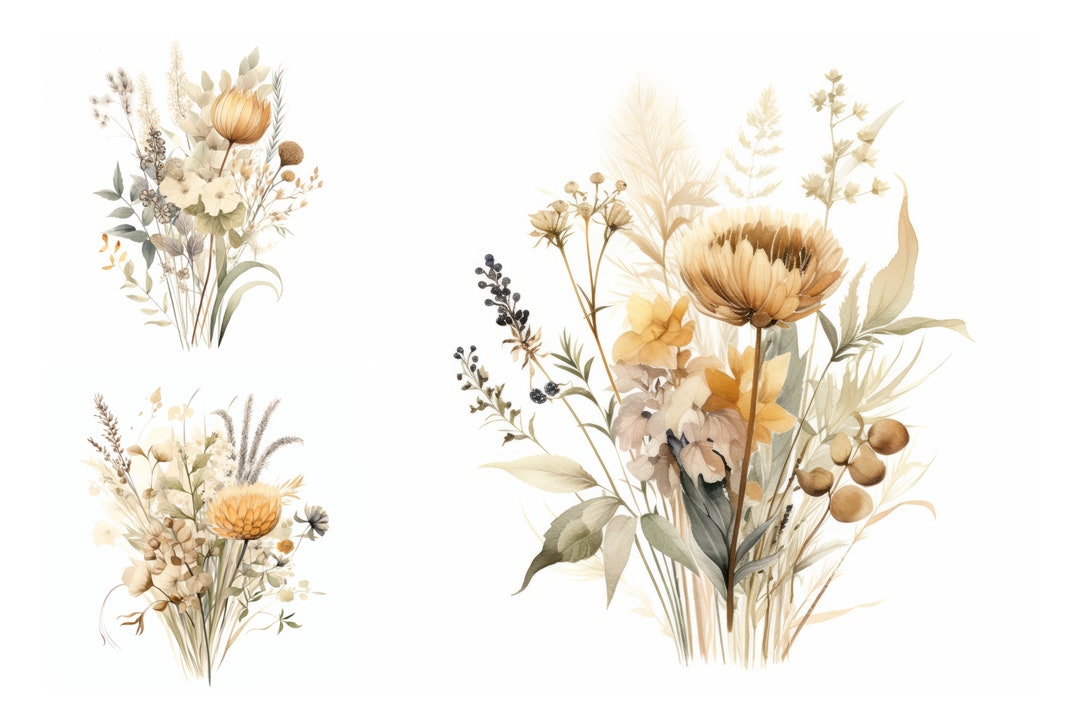 Watercolor Meadow, Clipart Bundledried Flowers Set, Autumn Clipart ...