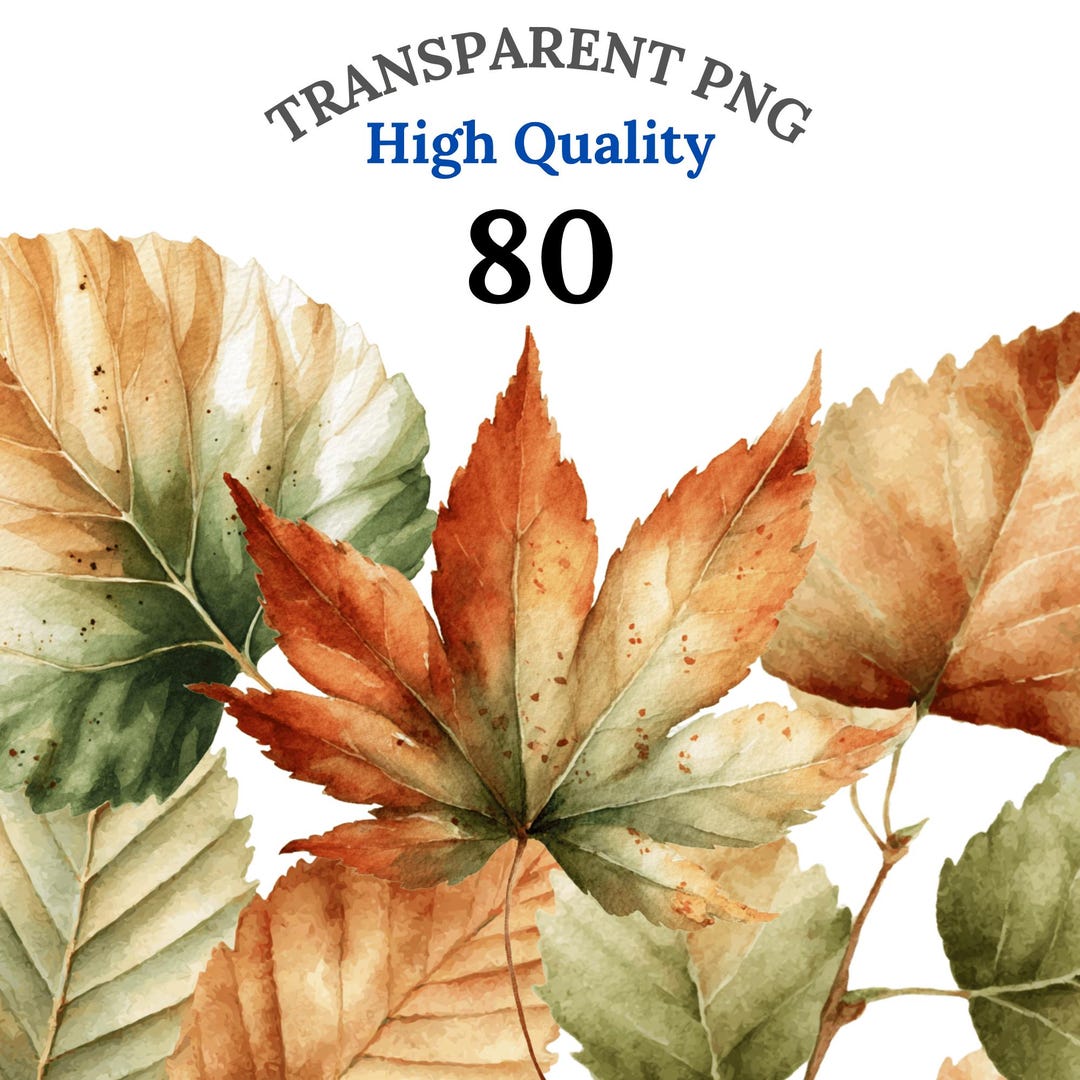 80 Autumn Leaves Clipart PNG, Watercolor Fall Leaf Bundle, Rustic ...