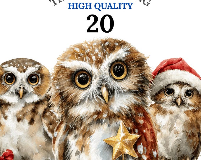 Owl Clipart, Owls Clipart Funny Owl Png Christmas Owl Christmas Clipart ...