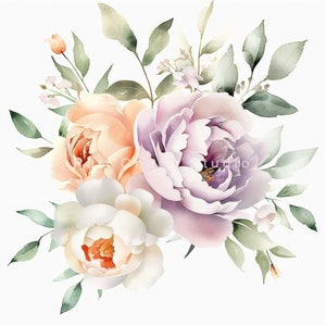 Watercolor Peony Clipart Set for Commercial Use, Digital Download ...