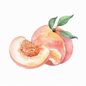 Summer Fruit Clipart Bundle, Watercolor Fruit Clipart Pack, 9 High ...