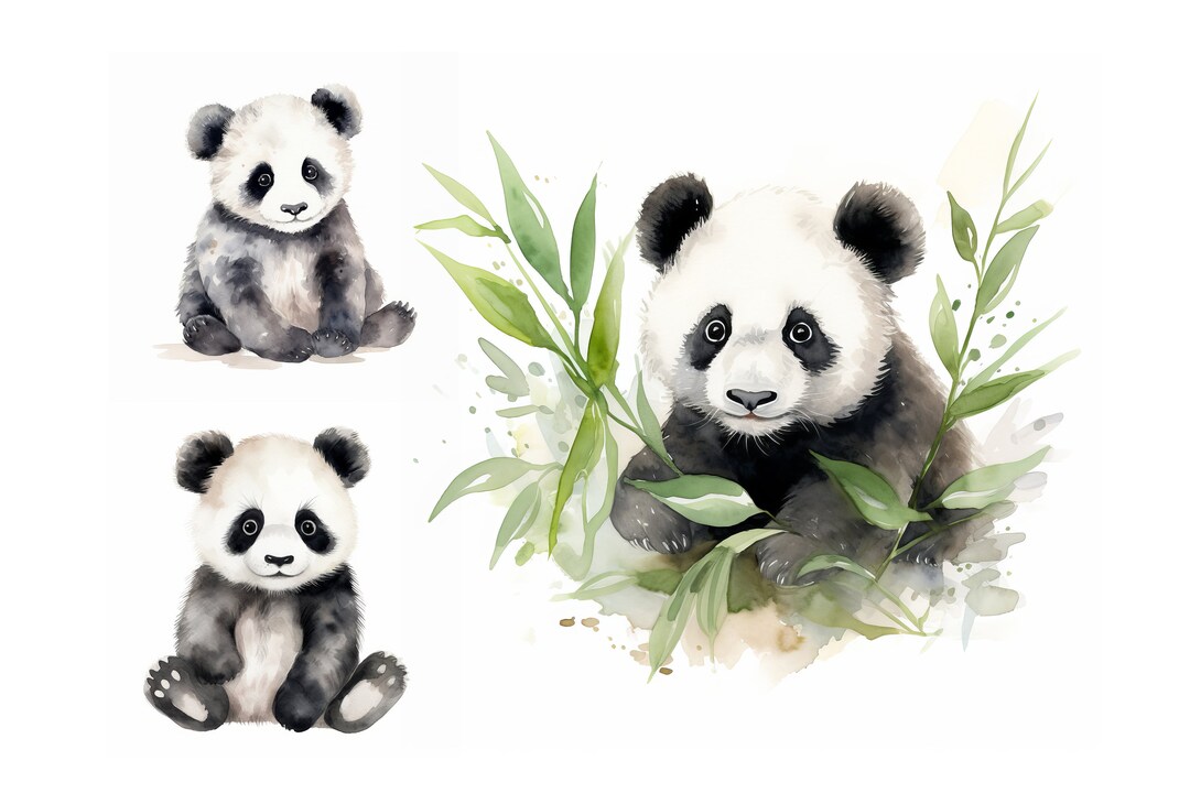 Watercolor Panda Clipart Bundle, Baby Animal Clipart, Baby Shower Decor ...