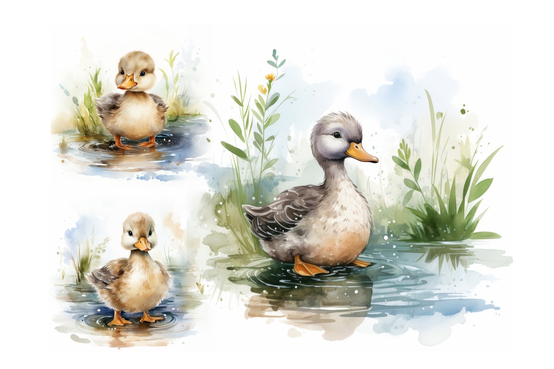 Watercolor Duck Clipart Set, High Quality Jpgs, Digital Designs, Card ...