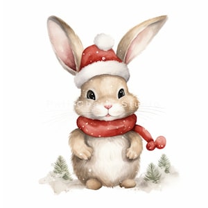 Watercolor Santa Rabbit Clipart PNG, High Quality, Christmas Bunny ...