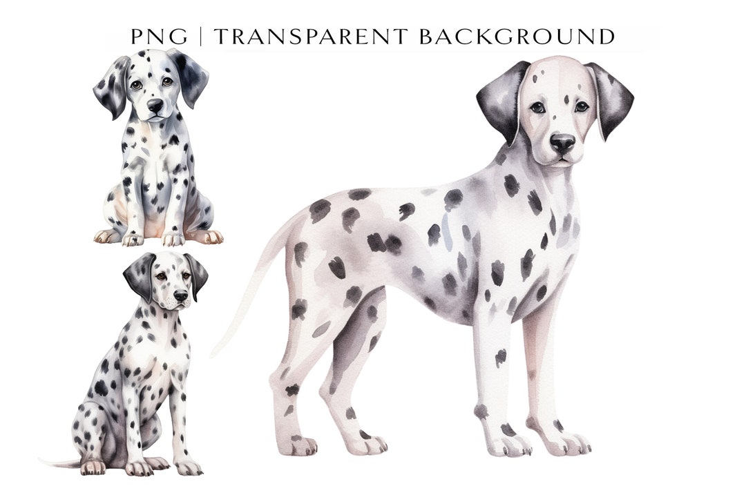 Dalmatian Dog Clipart PNG, High Quality, Dog Breed Animal Clipart for ...