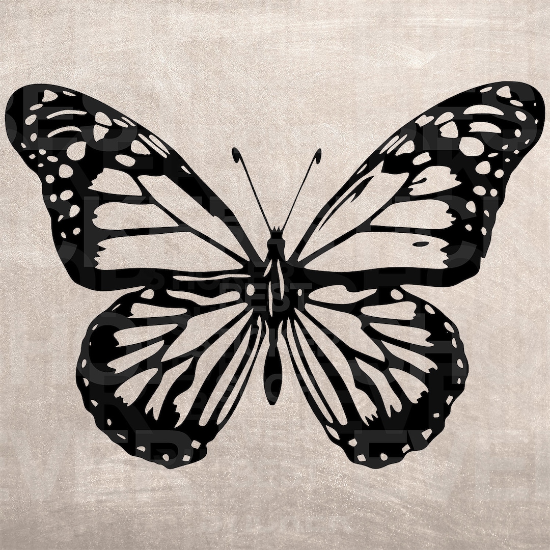 Butterfly Stencil, Design Print, Digital Download Clipart Graphic for ...
