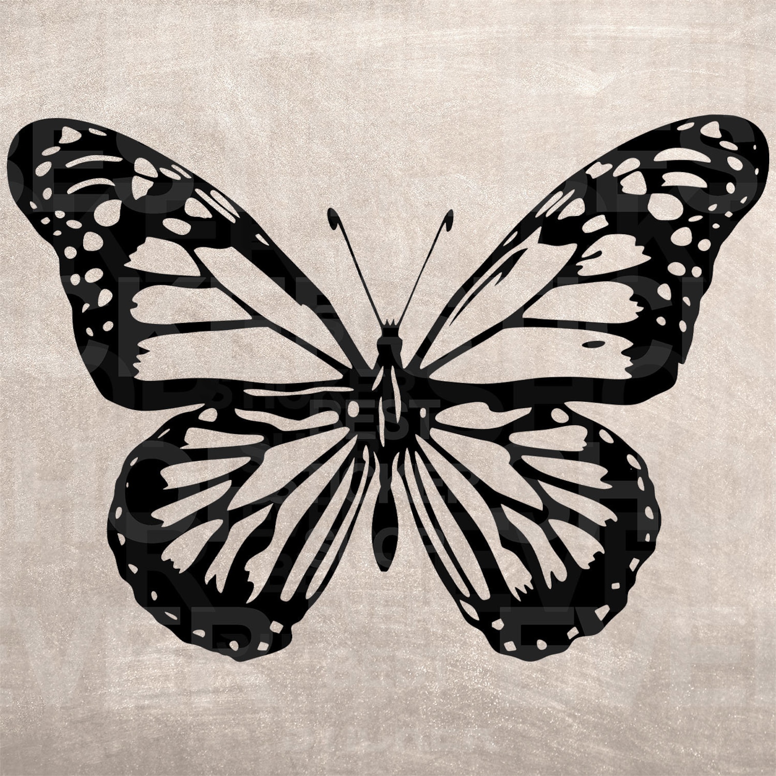 Butterfly Stencil, Design Print, Digital Download Clipart Graphic for ...