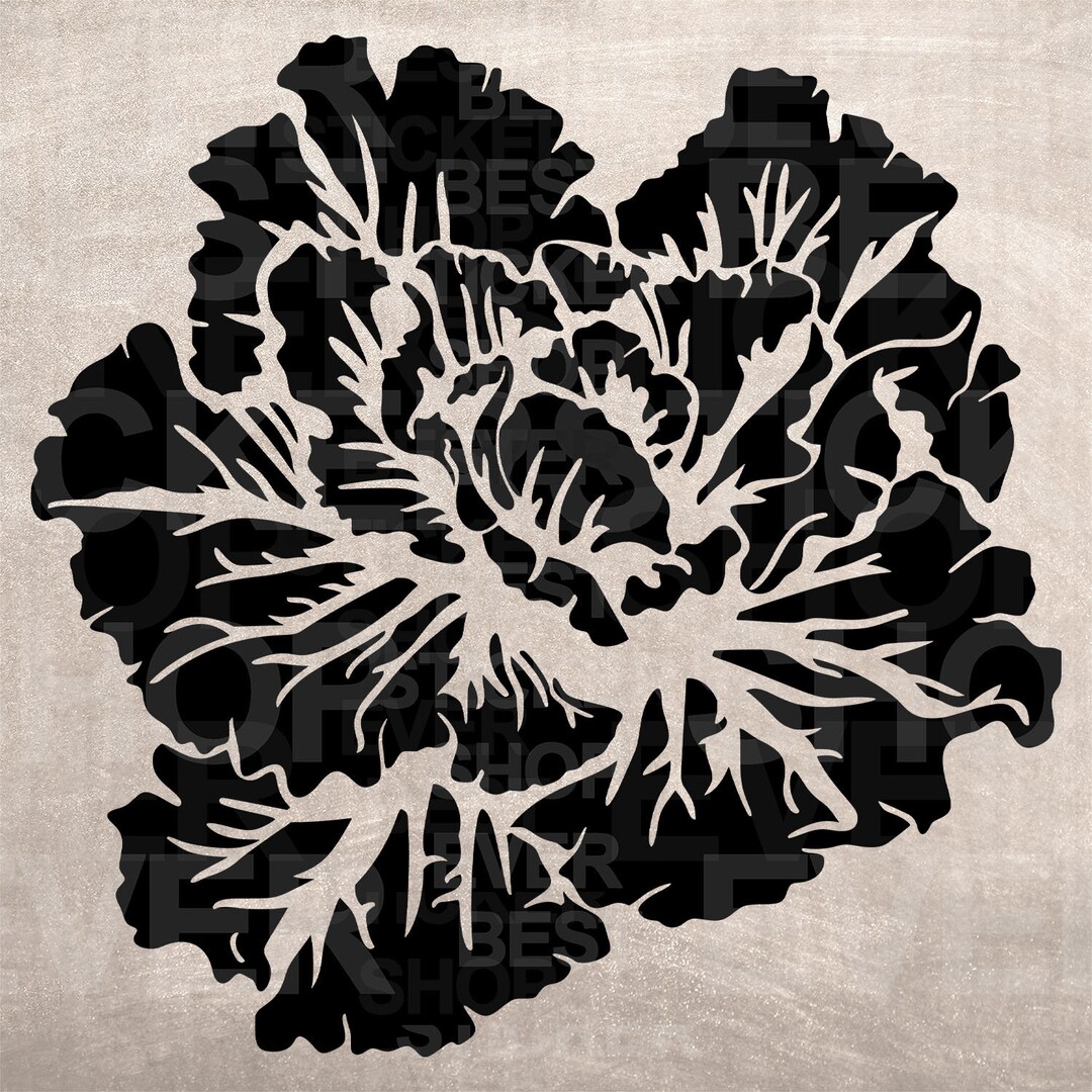 Cabbage Salad Stencil, Design Print, Digital Download Clipart Graphic ...