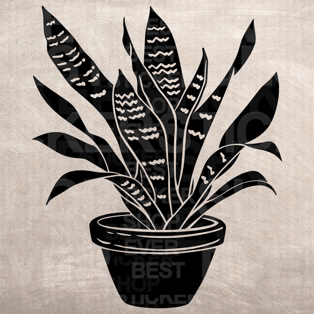 Potted Plant Stencil, Design Print, Digital Download Clipart Graphic ...