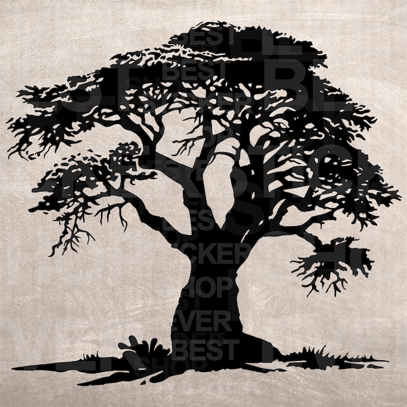 Baobab Stencil, Model Template Design Print, Digital Download Clipart ...