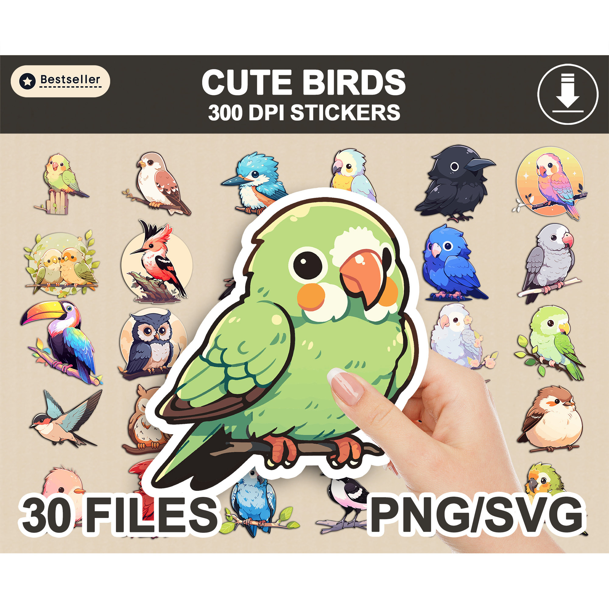 Cute Birds PNG SVG Bundle Bird PNG Printable Sticker - Etsy