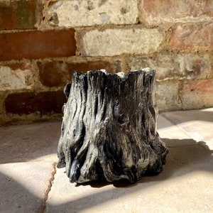 Goddess of the Night Plant Pot, Tree Face Planter in a Natural Stone ...