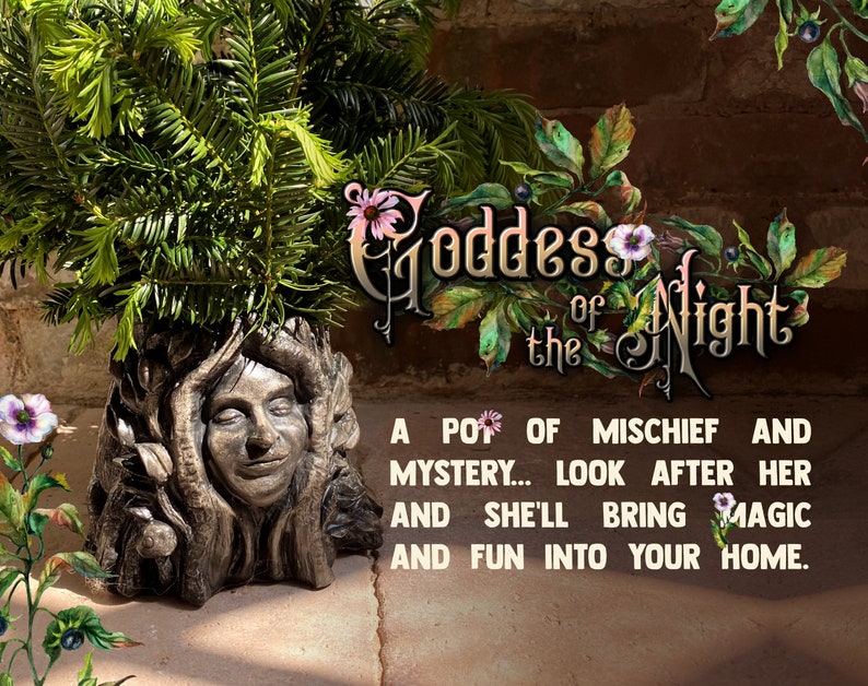 Goddess of the Night Plant Pot, Tree Face Planter in a Natural Stone ...