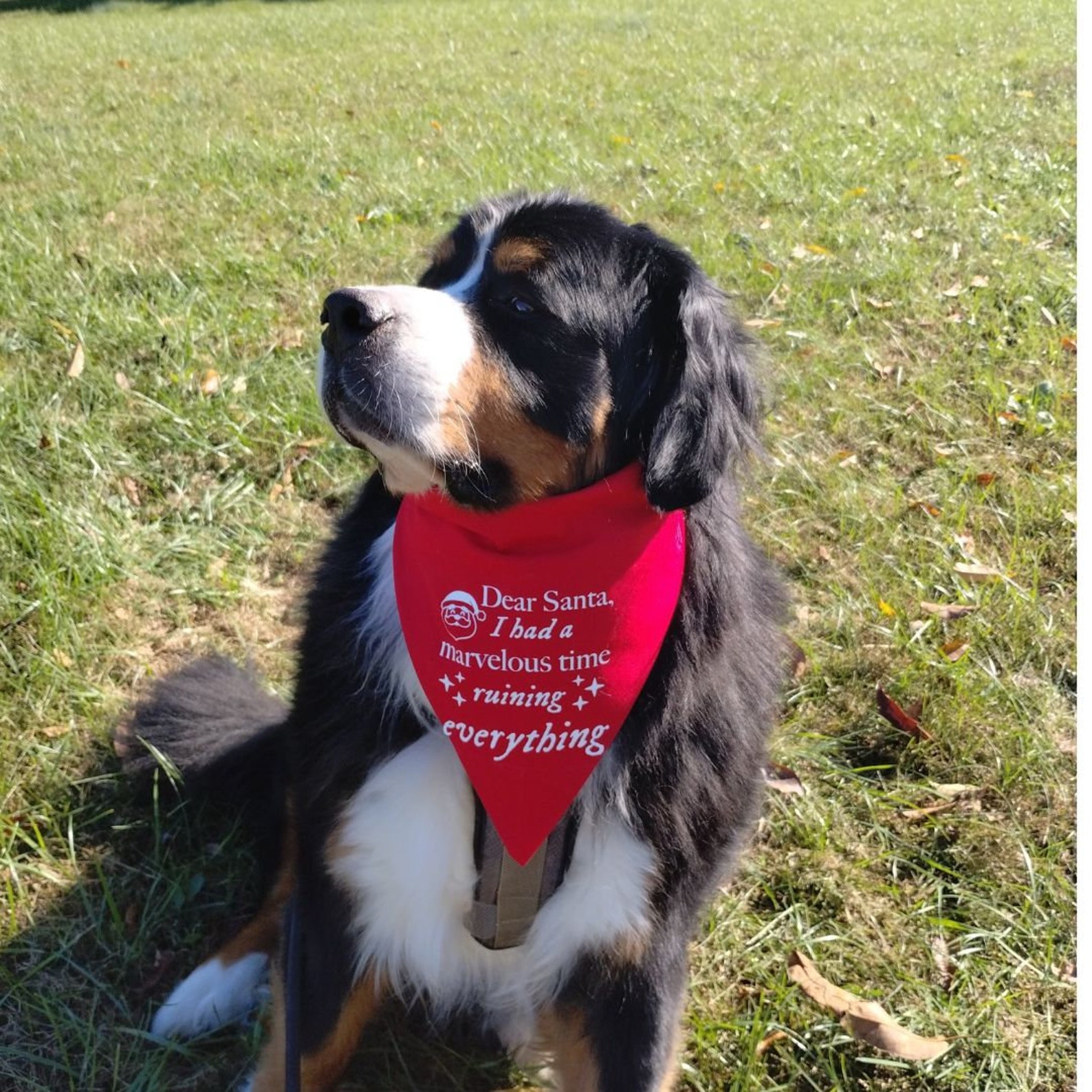Christmas Santa Folklore/swiftie/dog - Etsy