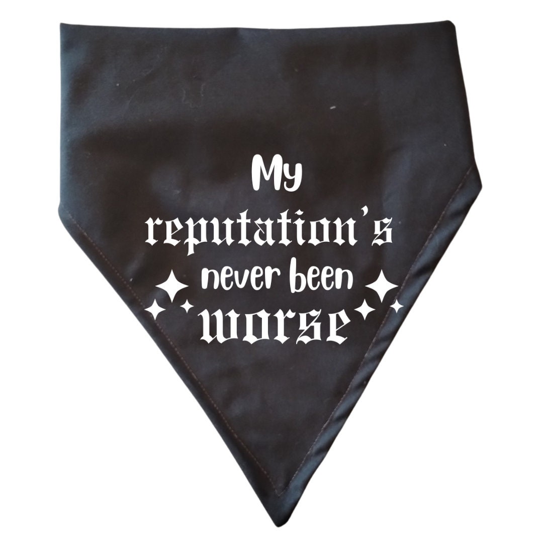 Taylor Swift Reputation Era/ Delicate/ Large Custom Dog - Etsy