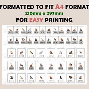 Forest Animals Guess Who? 2.0 | Printable Insert Cards | Digital ...