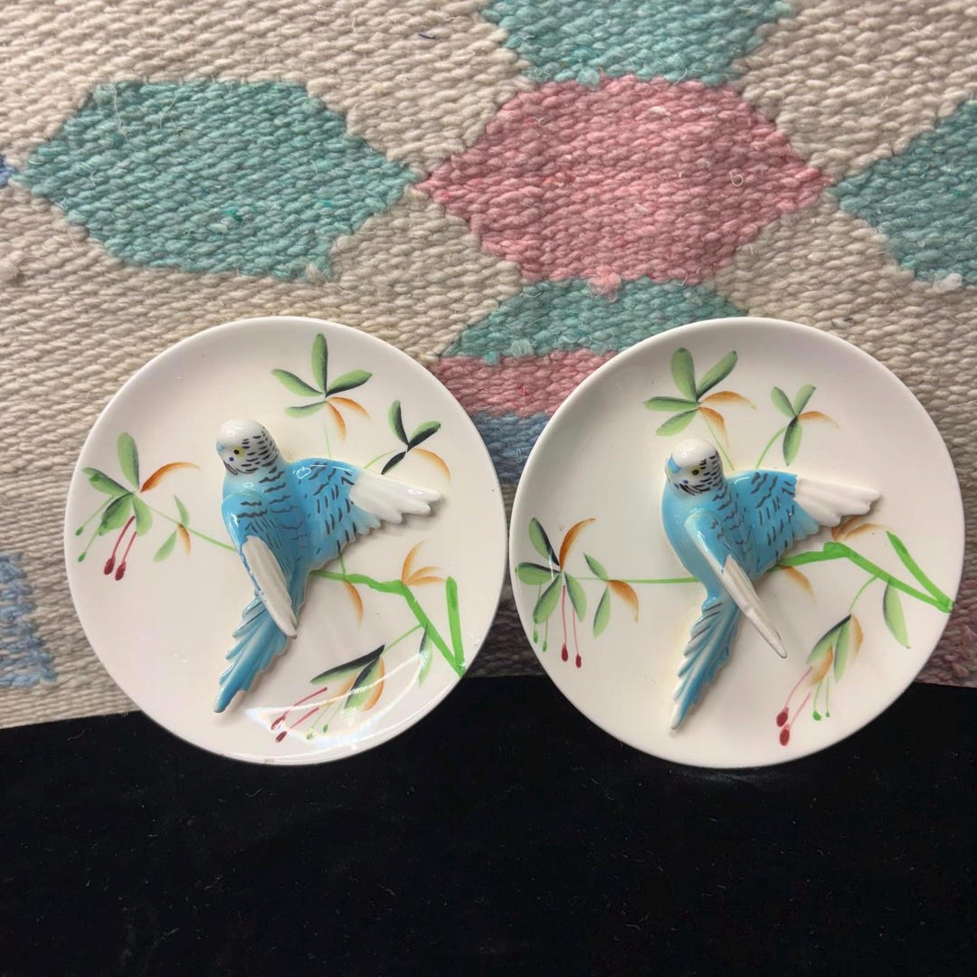 Vtg Napco Parakeet 3d Ceramic Wall Plate Set - Etsy