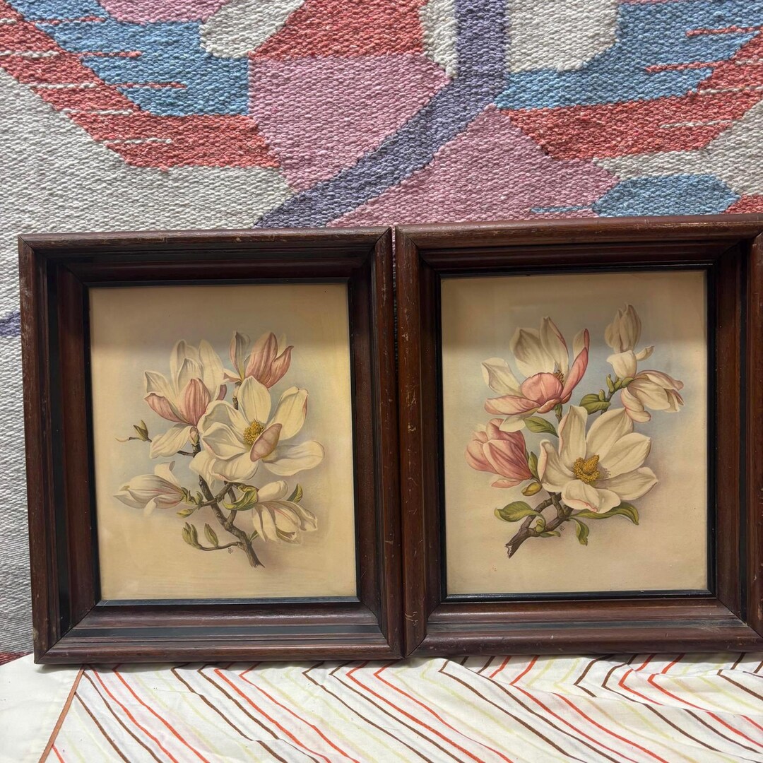 IB Fischer Co. Pink Magnolia Framed Litho Prints - Etsy
