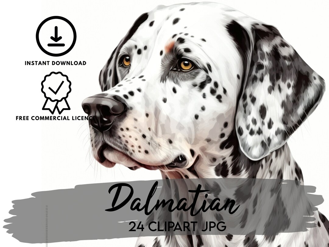 24 Dalmatian Clipart Dog Graphics Digital Watercolor Pets - Etsy