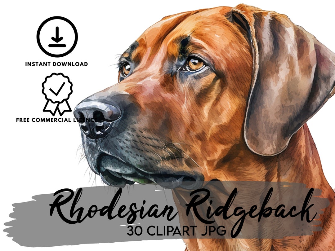 30 Rhodesian Ridgeback Clipart Digital Download & Cute Dog - Etsy