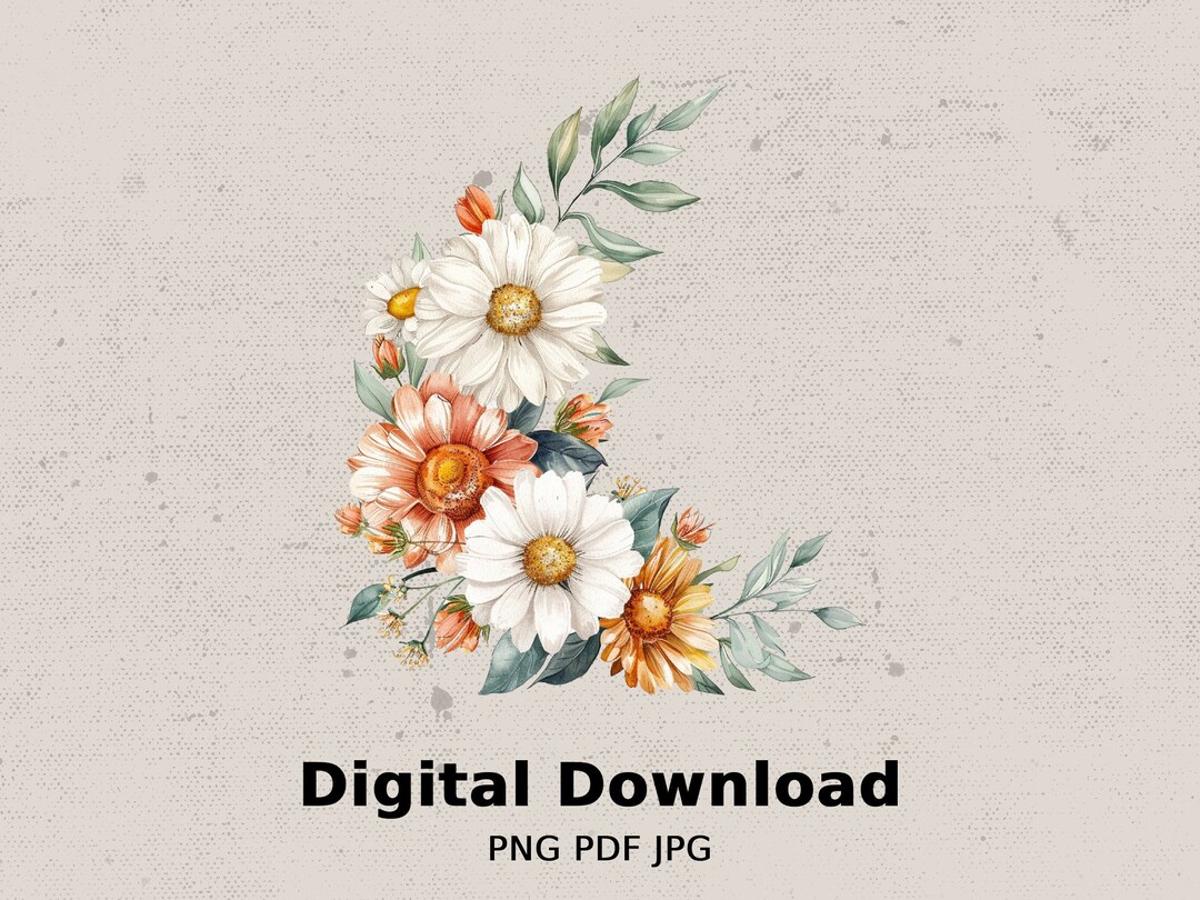 Daisy Flower Clipart, Spring Floral PNG, Digital Daisy Clip Art, Non ...